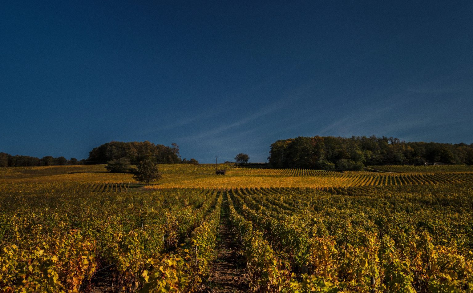 Domaine Vincent Gaudry – Appelation Sancerre