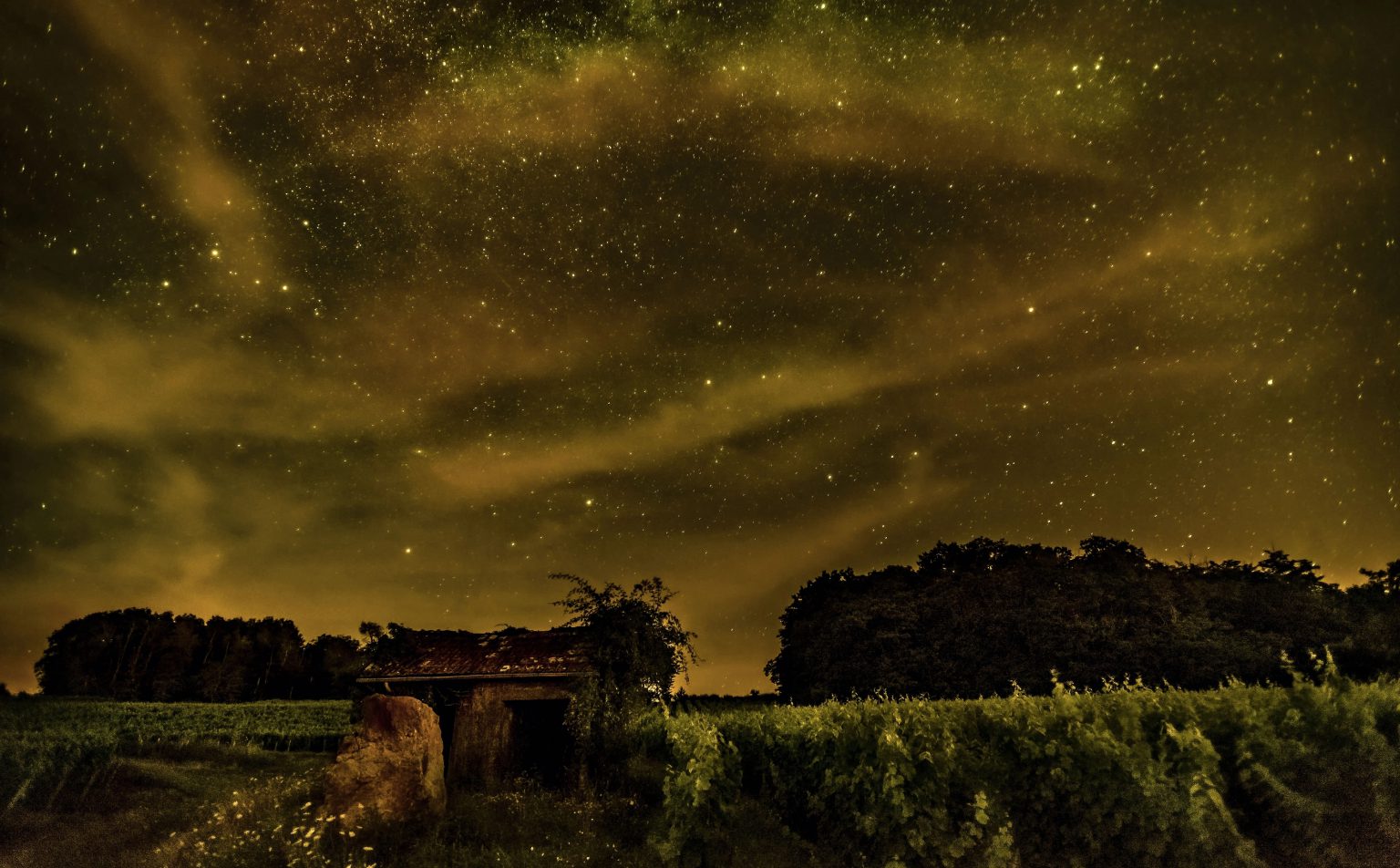 Domaine Vincent Gaudry – Appelation Sancerre