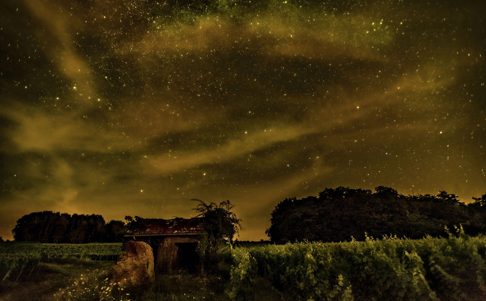 Domaine Vincent Gaudry – Appelation Sancerre